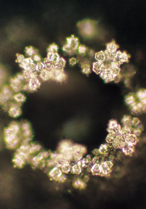Masaru Emoto & His Water Crystals | Serenity Spell